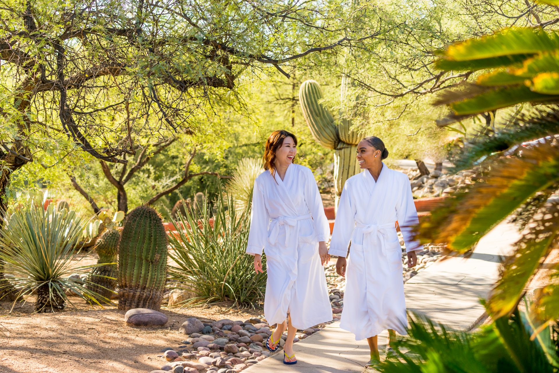 Canyon Ranch: Inspire Your Well Way of Life - Vacayou Travel