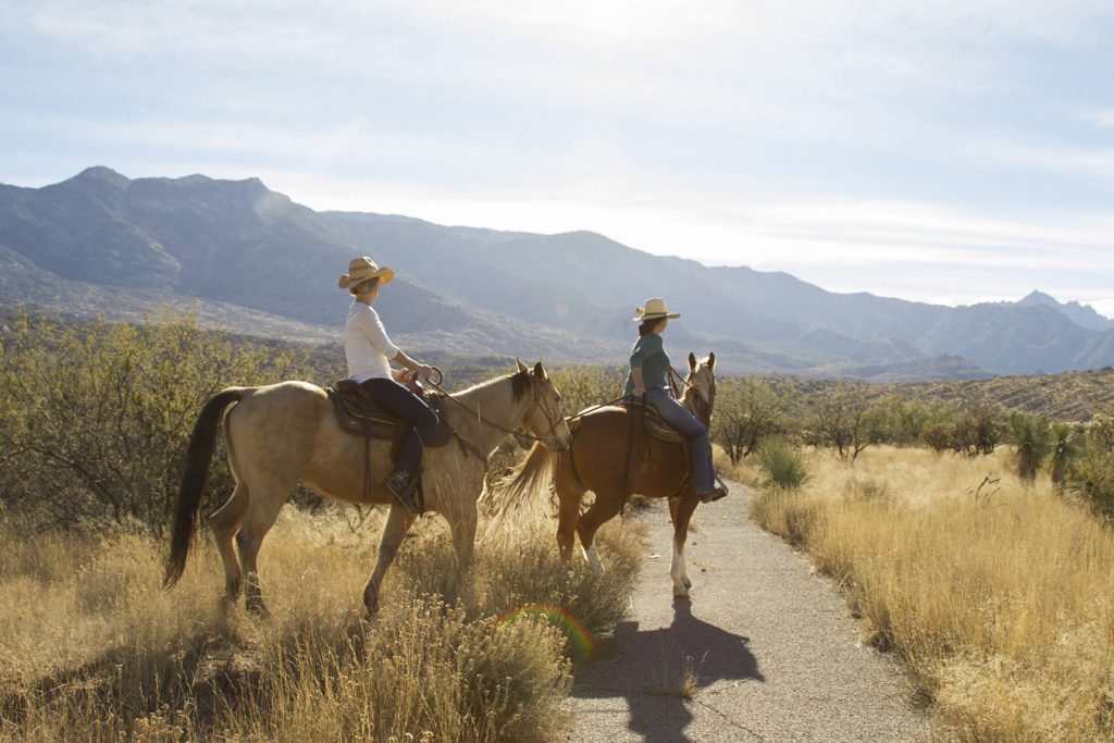 10 Best Wellness Retreats & Resorts in Arizona